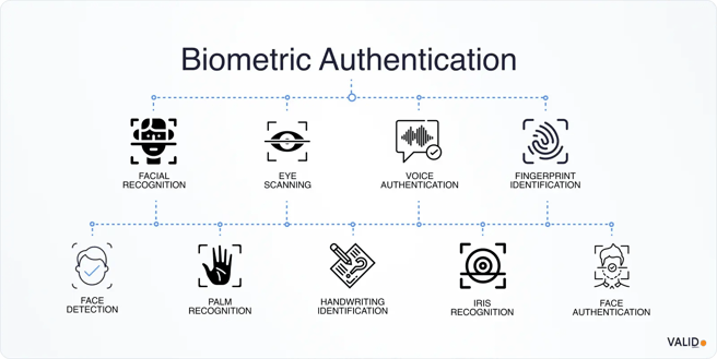 10 Biometric Authentication Methods in Banking [Guide]